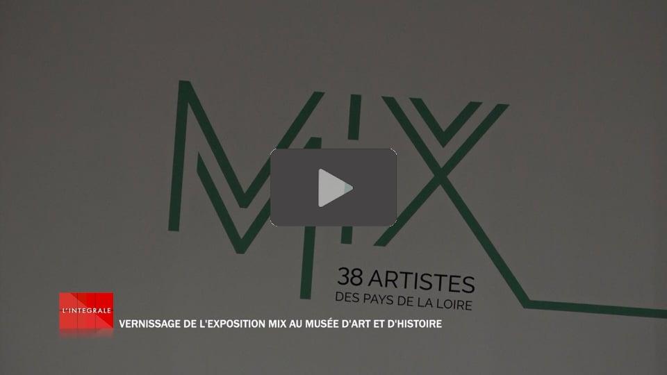 INTEGRALE - Vernissage de l'exposition Mix au musée d'art et d'histoire ...